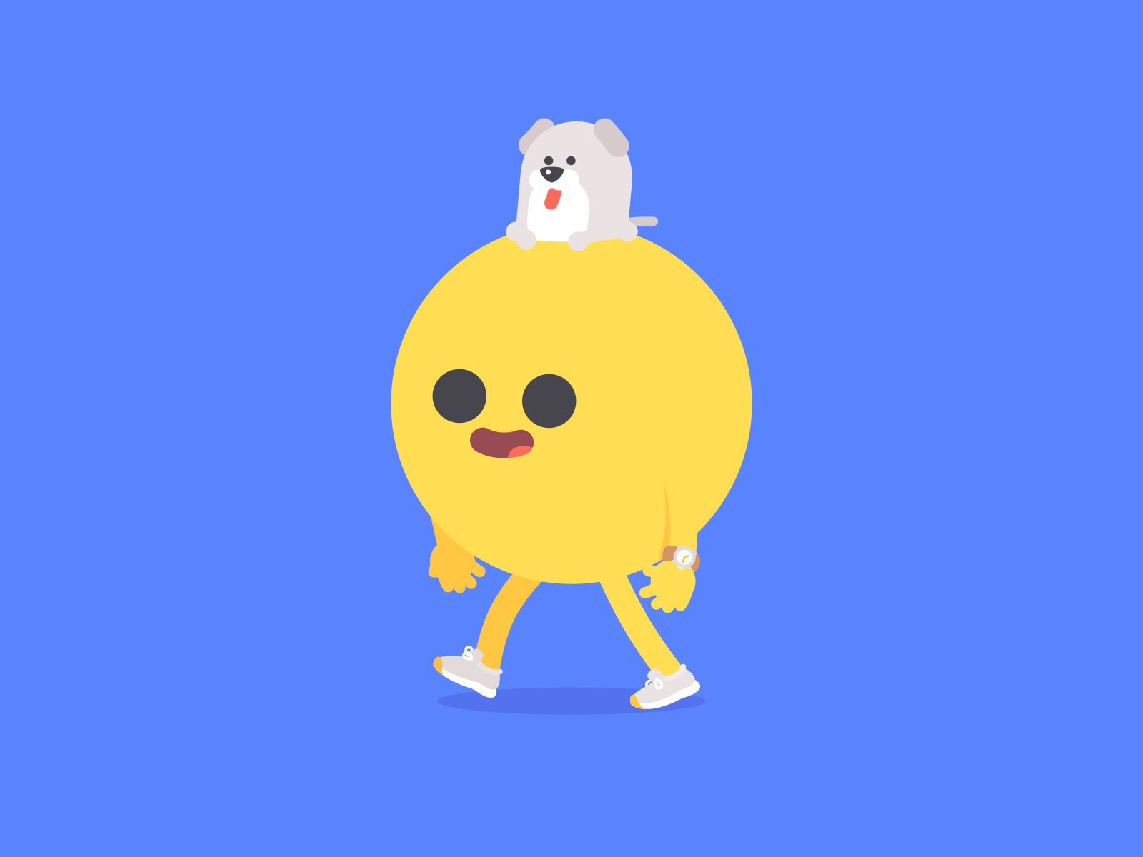 Animated Loops By James Curran On Dribbble