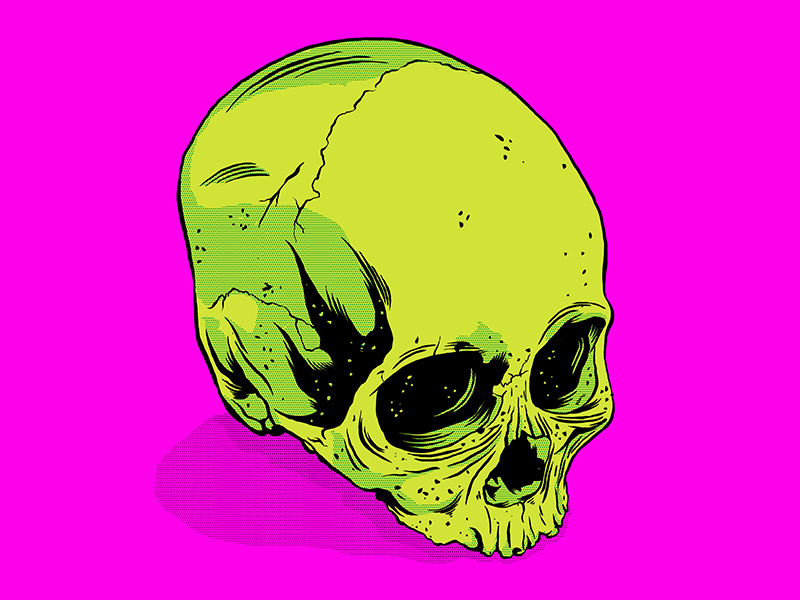 Skull by Andy Hall on Dribbble