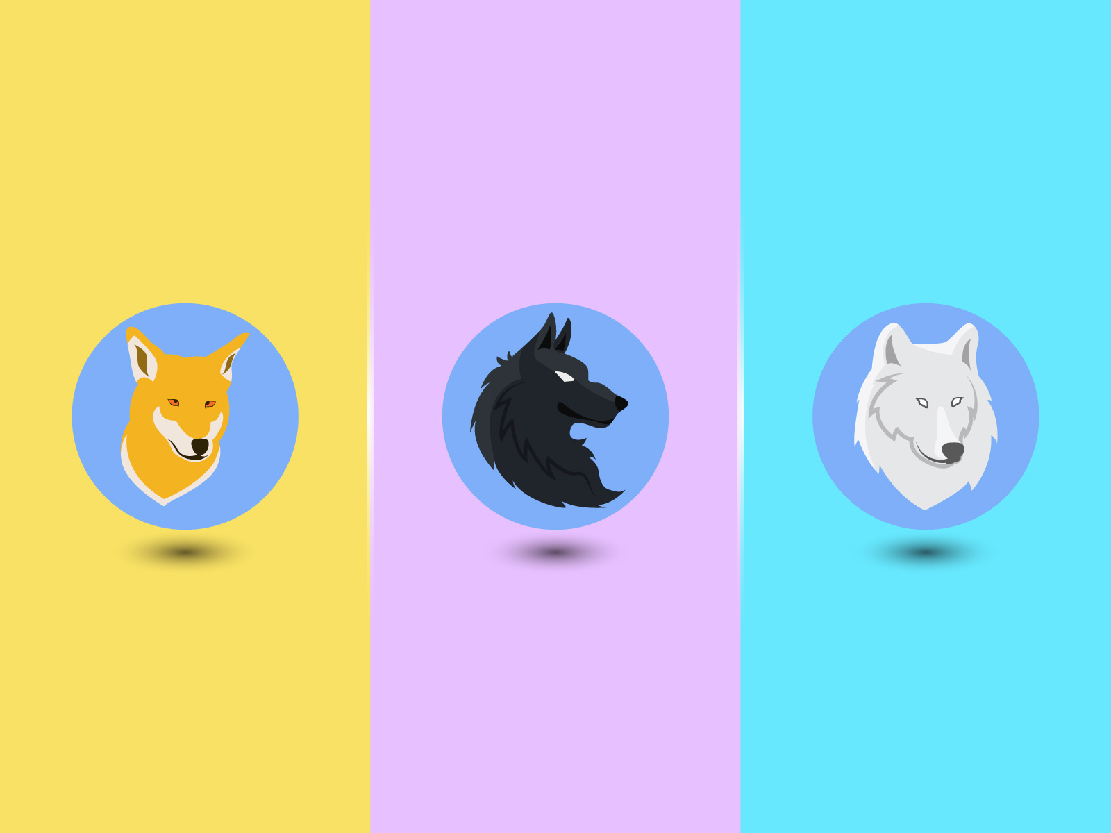 Wolf Avatar by Maimuna Aktar on Dribbble