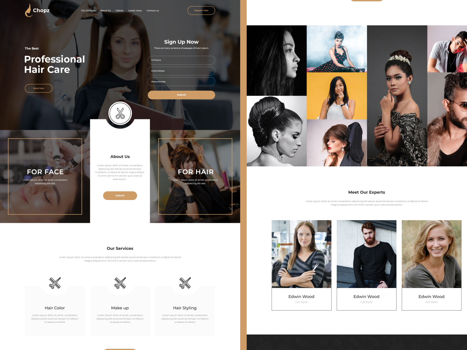 Website template - professional hair care by Ashhad Khan on Dribbble