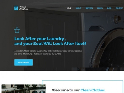 Laundry Service Html Website Template by Template Bundle on Dribbble