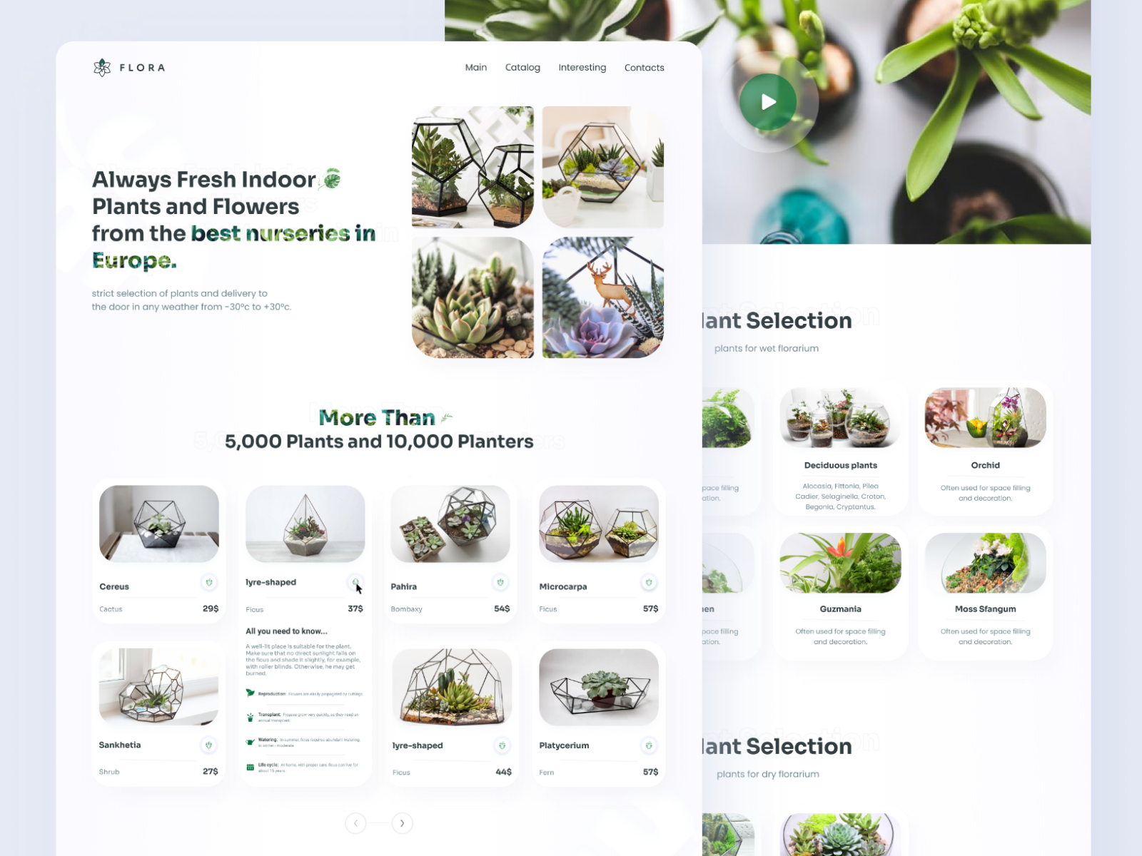 Plants shop landing page by Ilya Veremeev on Dribbble