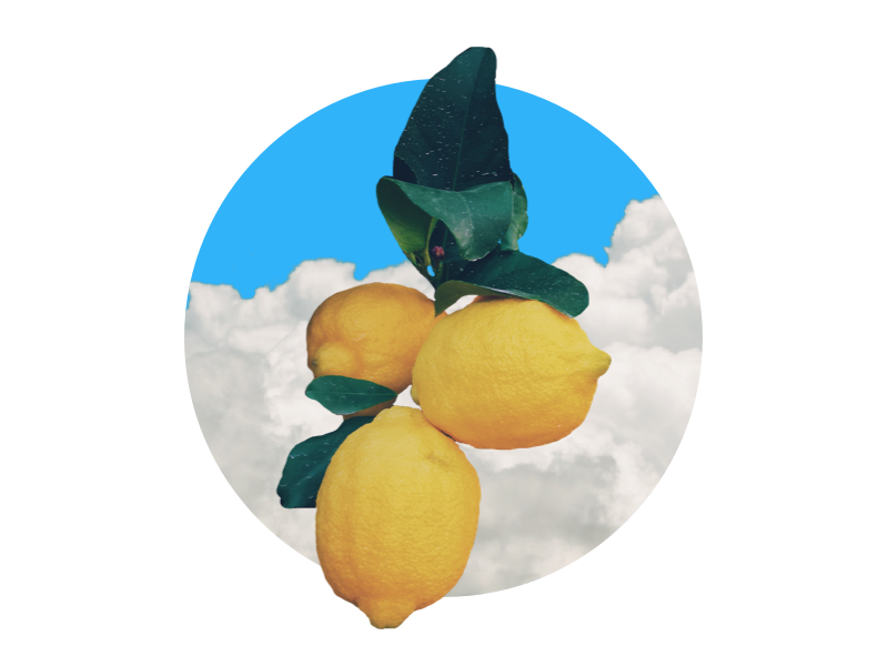 Lemon Collage by Ashley on Dribbble