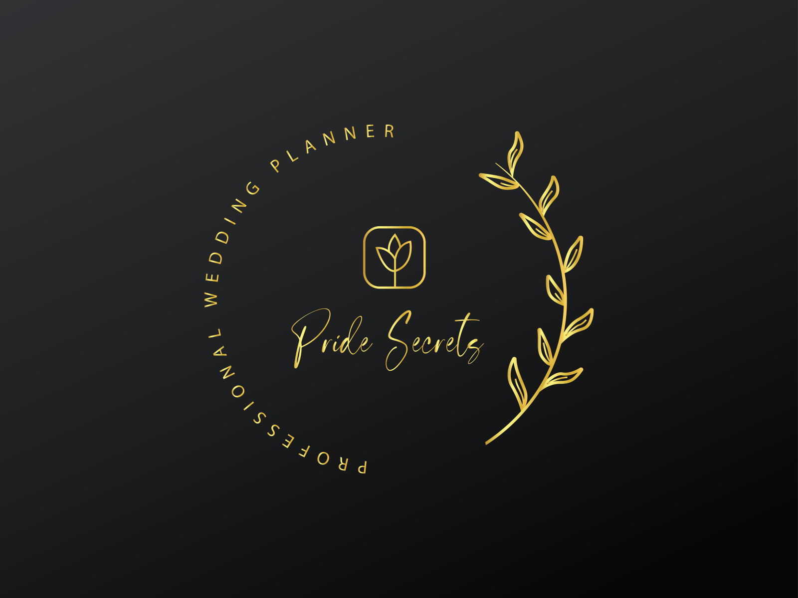 Pride Secret Photography Logo Design by Nayeem sheikh on Dribbble