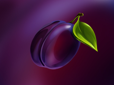 Plum by artforgame on Dribbble