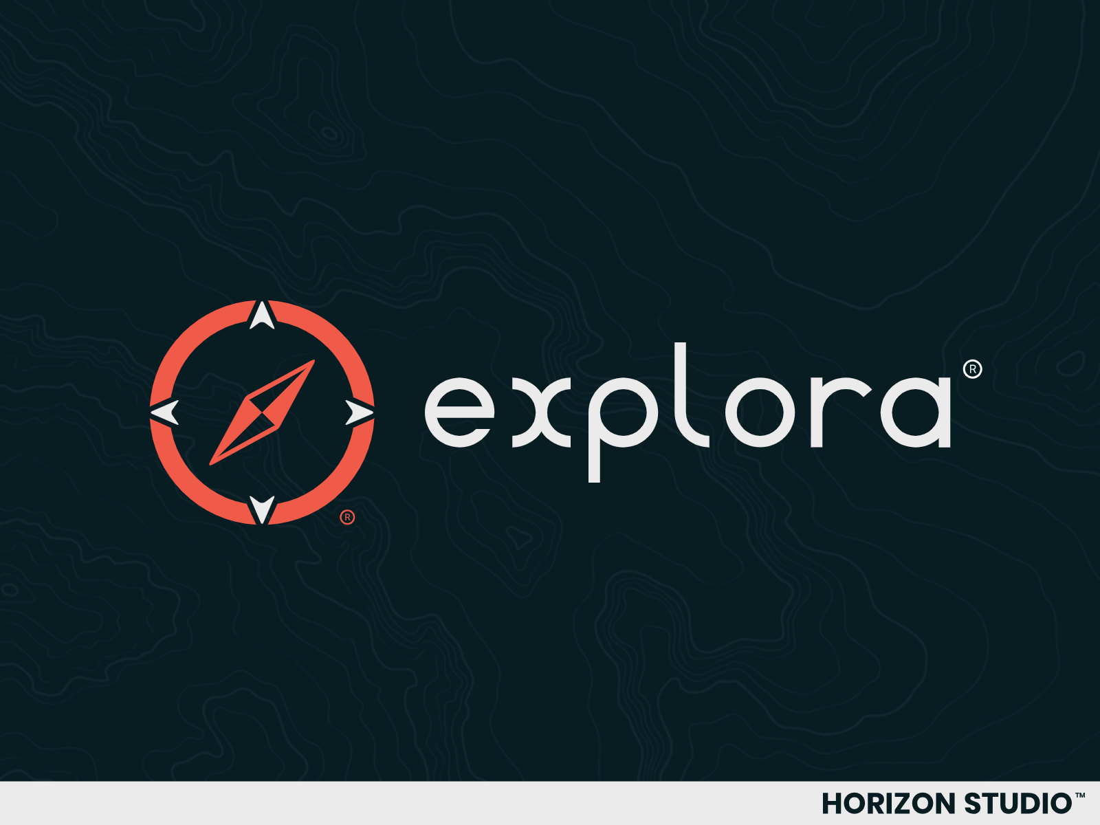 Explora by Oryzon Studio on Dribbble