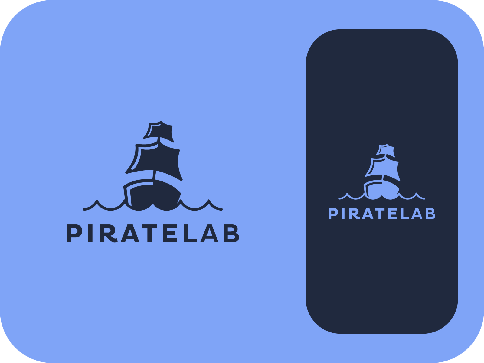 Pirate Lab by Deluxe Designing on Dribbble