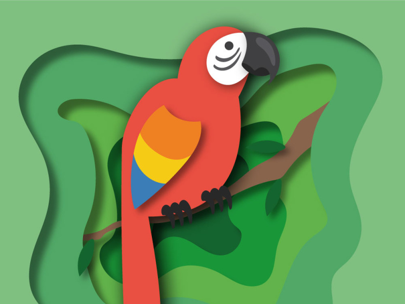 Parrot Cut out paper by Lidia Prieto on Dribbble