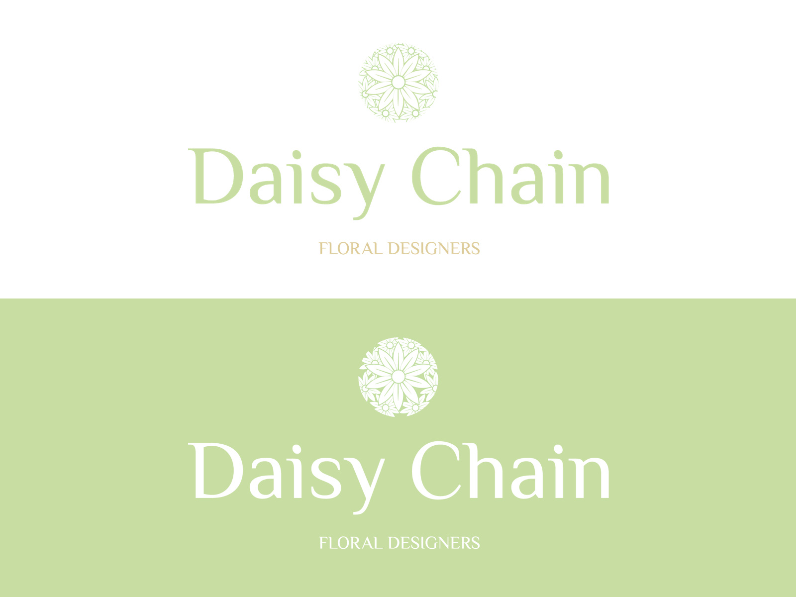 Daisy Chain Branding by Stuart Williams on Dribbble