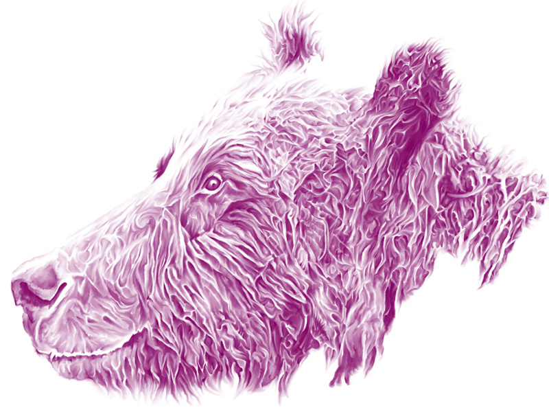 Bear Your Heart by Adam Dunt on Dribbble