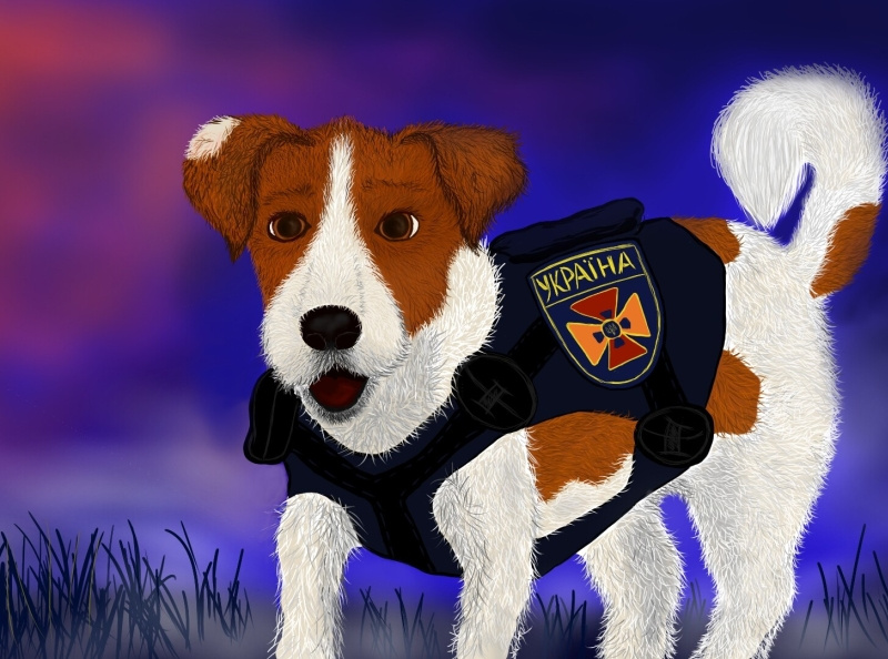 Patron by Elena on Dribbble