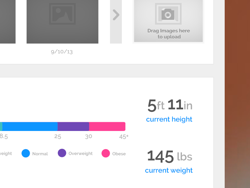 Dashboard - Progress Page by Ryan Scherler on Dribbble