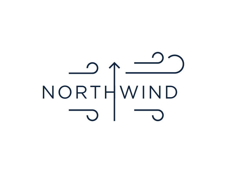 NorthWind by Shane O'Brien on Dribbble