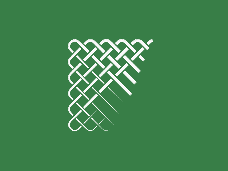 Dave Whyte | Dribbble