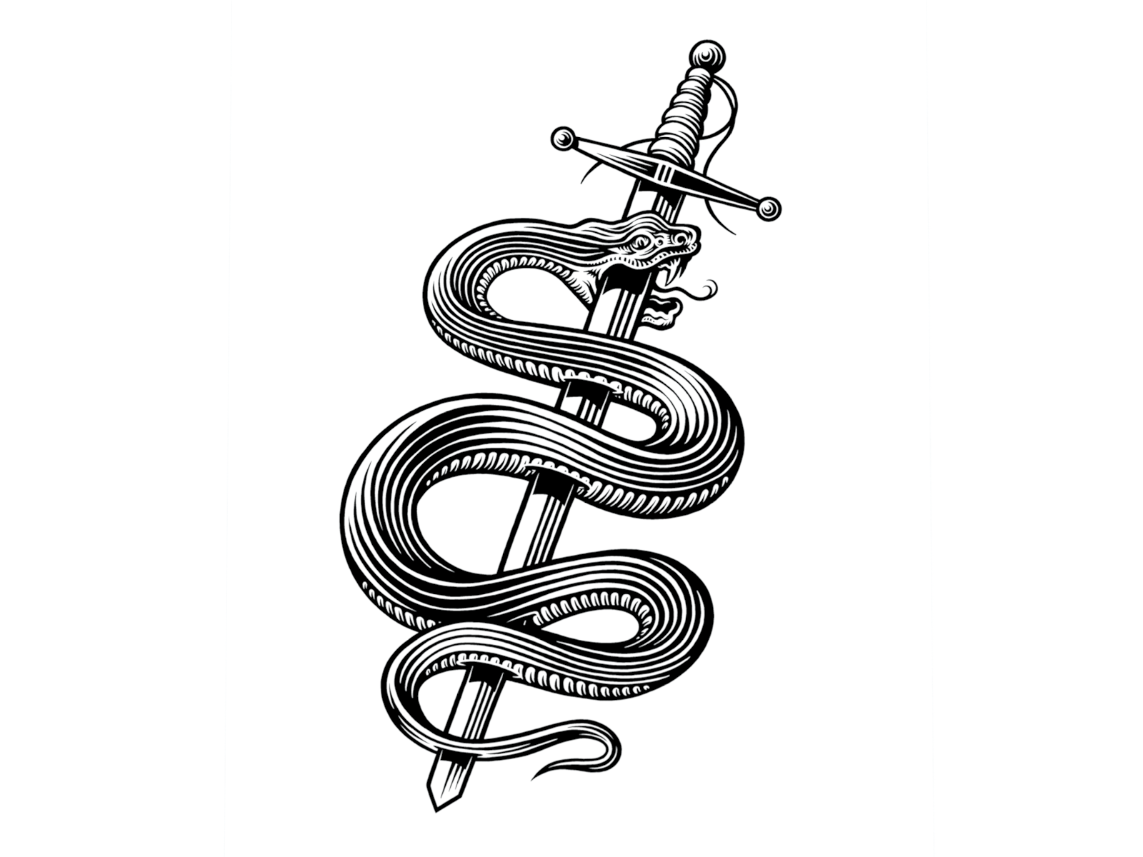 Snakes & swords by Bob Case on Dribbble