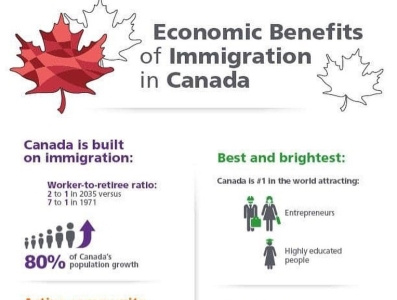 ATIA/ATIO Translation by QLPD Translation Services on Dribbble