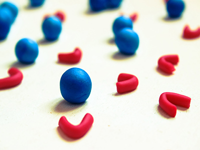 Visual Book_Natural Evolution by silvia bargelli on Dribbble