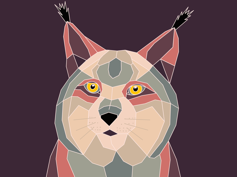 abstract mosaic lynx by Katri D Art on Dribbble