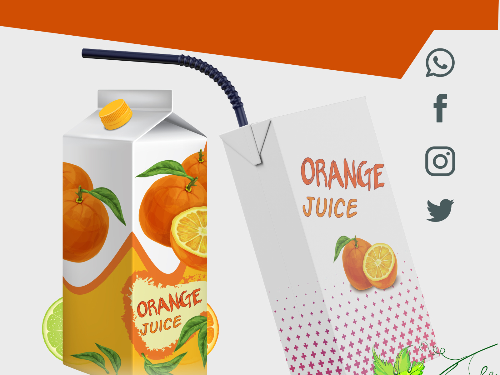 Packaging Juchi pack by Mir Liakot Hossain Liton on Dribbble