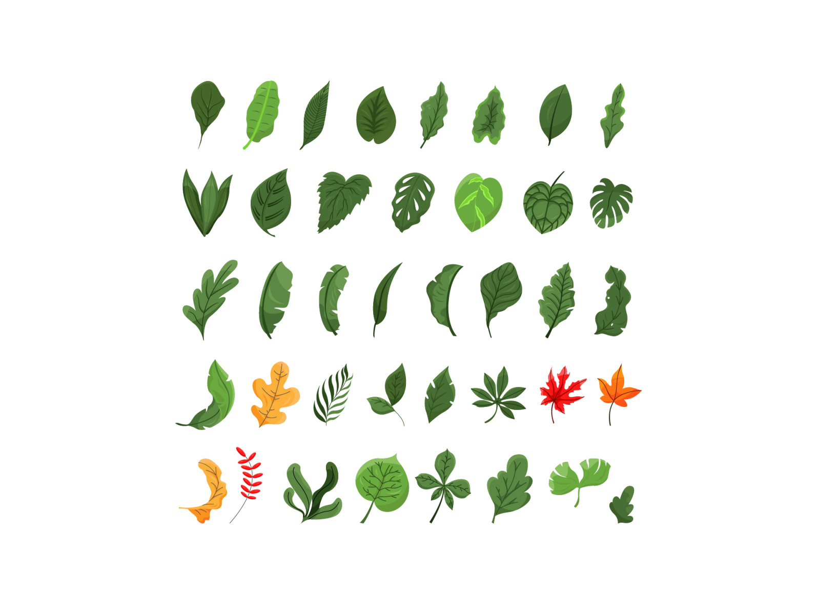 Leaf Vector Collection by Massadou on Dribbble