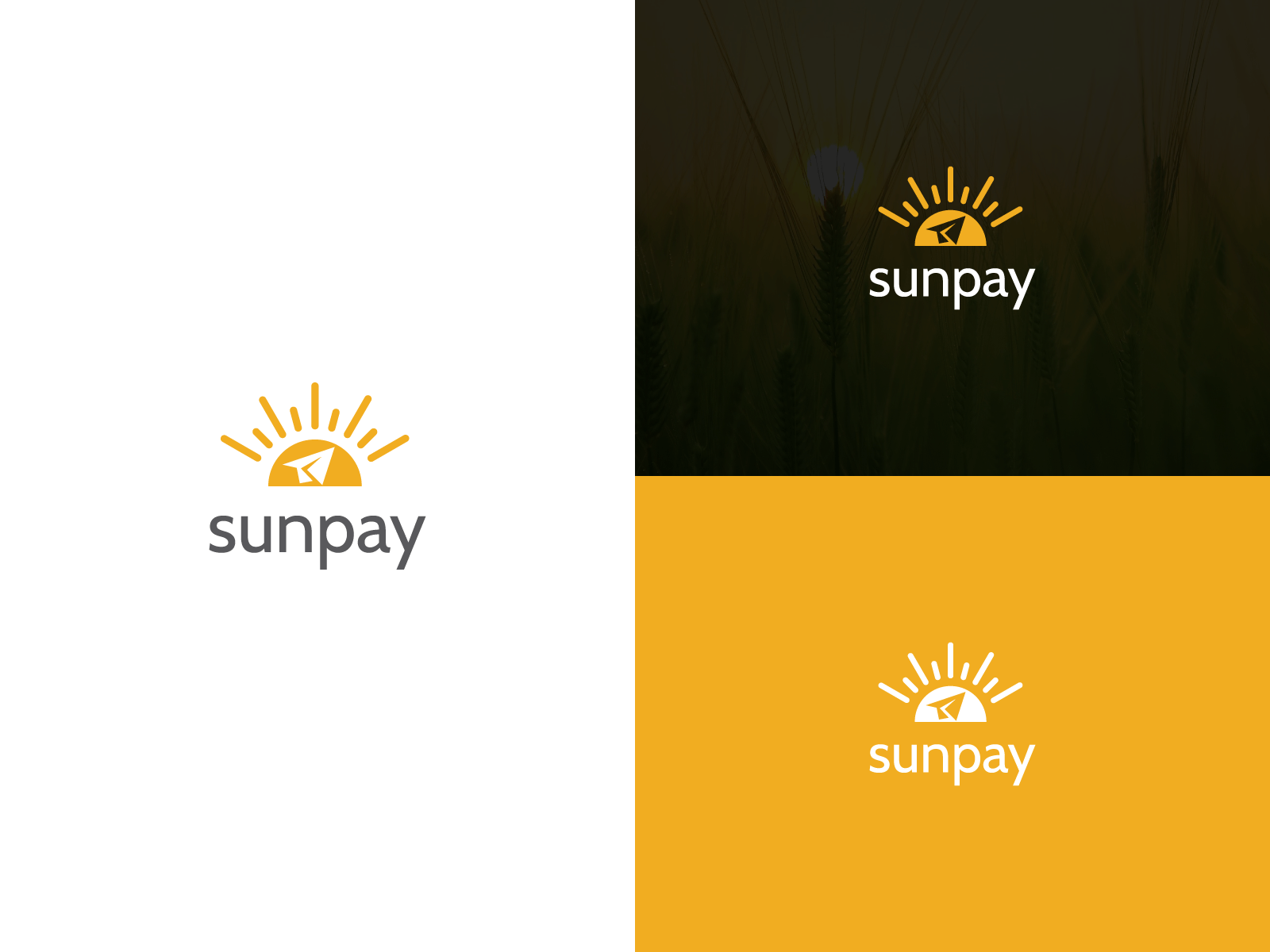Pay Brand Logo Design by M Parvez on Dribbble