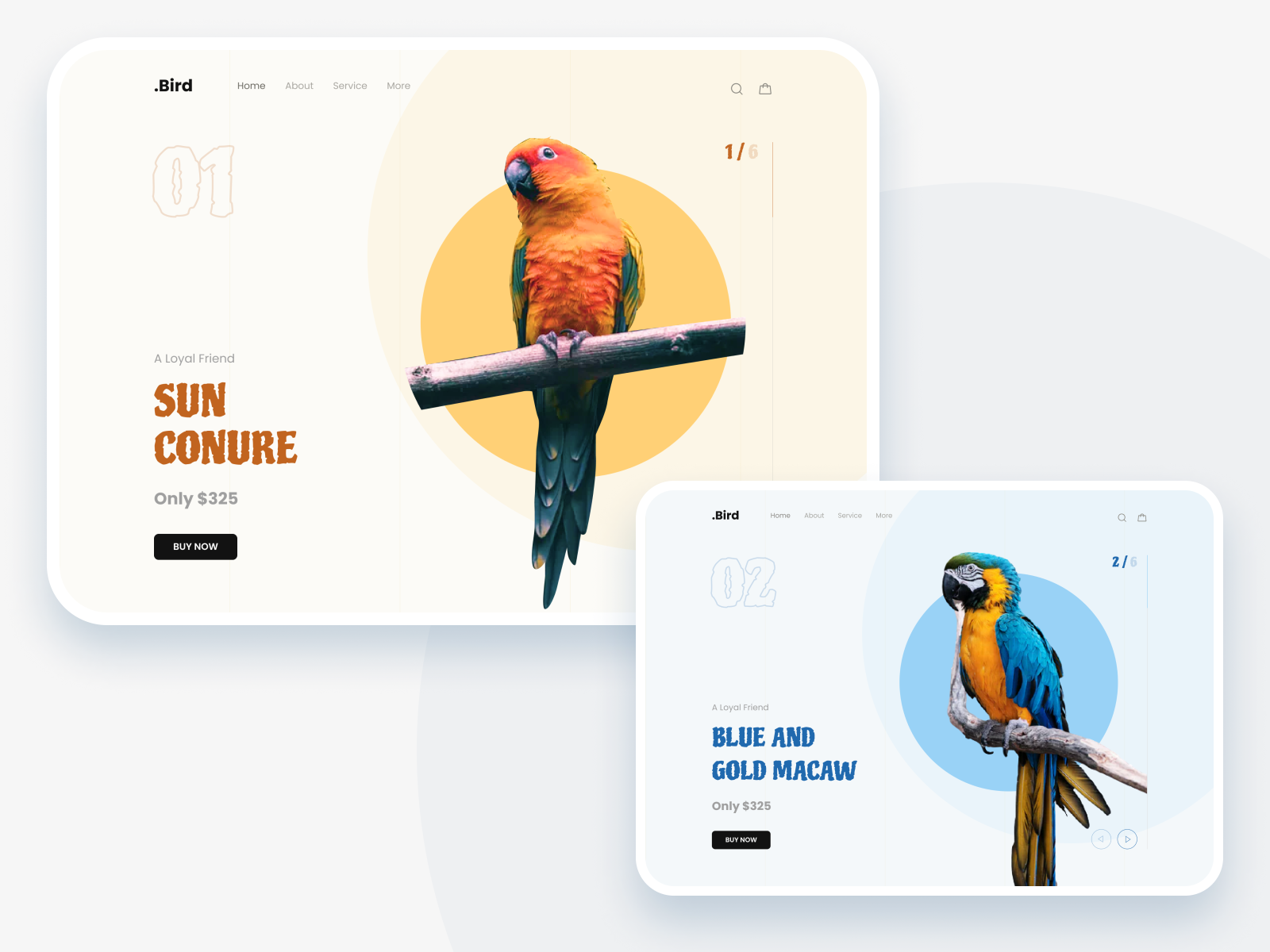 .Bird Website by Sarah Mint on Dribbble
