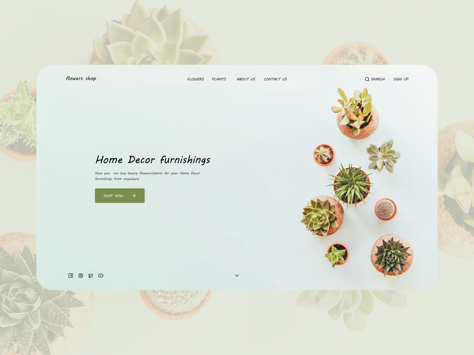 Plants Shop landing page by Sarah on Dribbble