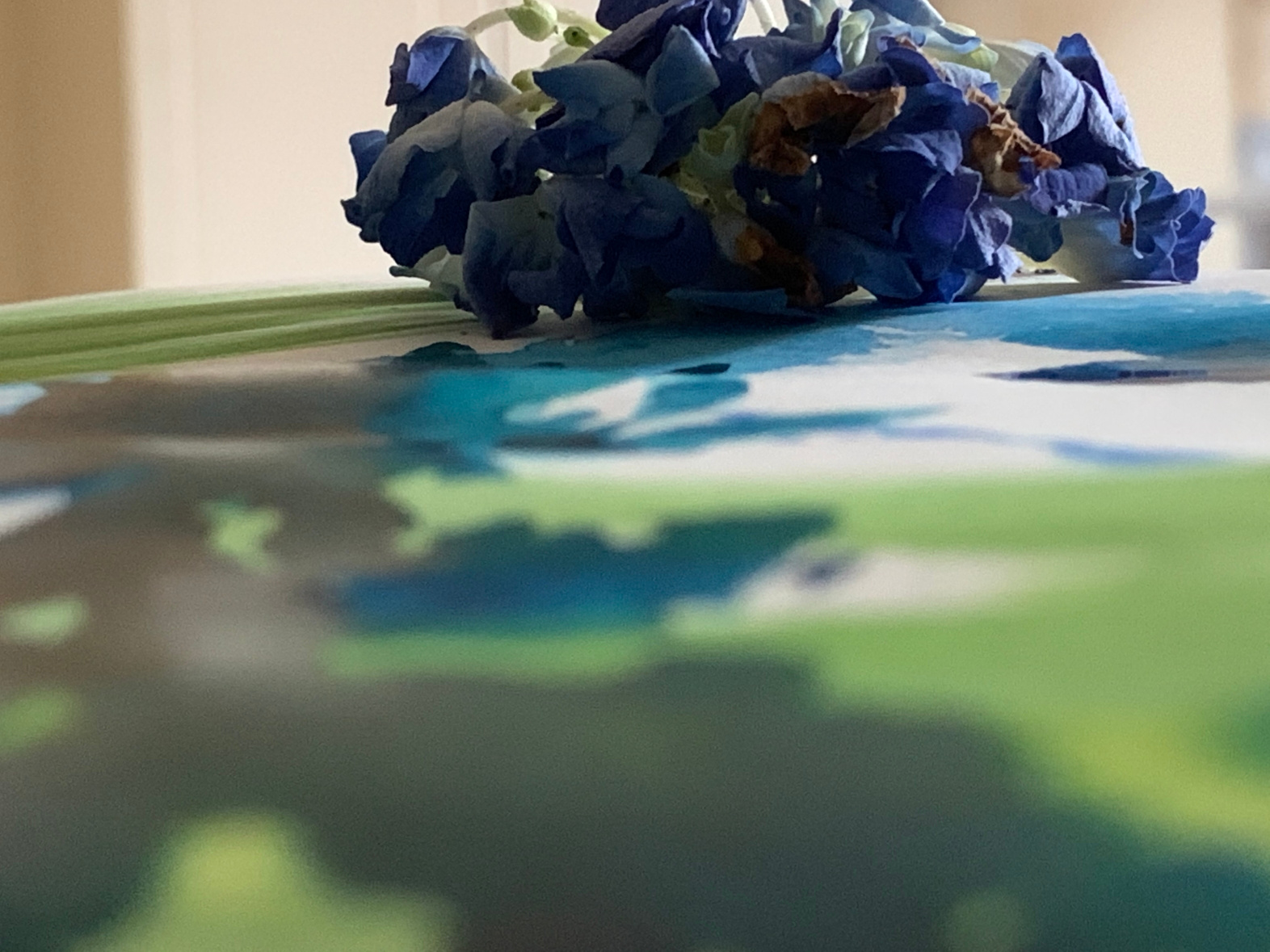 'flower trail' by salena swan on Dribbble