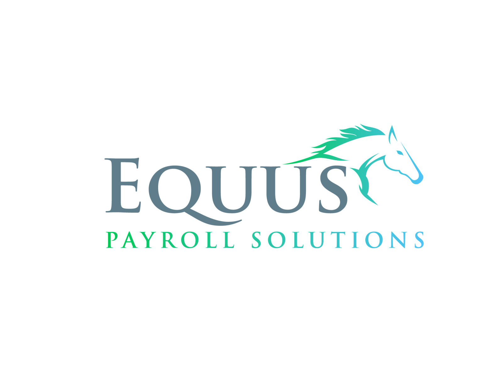 Equus Payroll Solutions by Shahbaaz_SK on Dribbble