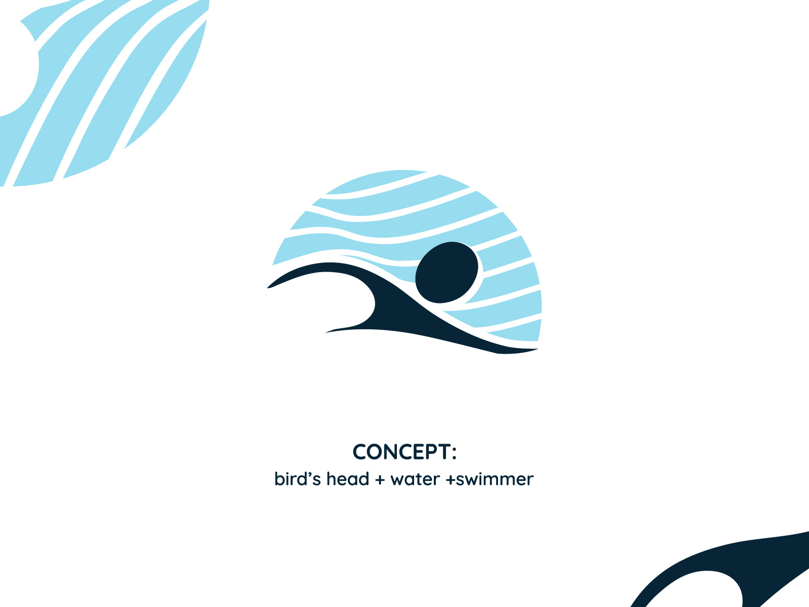 BIRD & SWIMMER LOGO by Aal Muksit Ahmed Qurishe on Dribbble