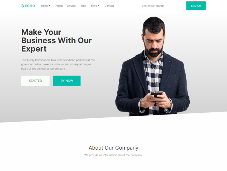 Echo - Multipurpose HTML Template by DESIGN COLLECTION on Dribbble