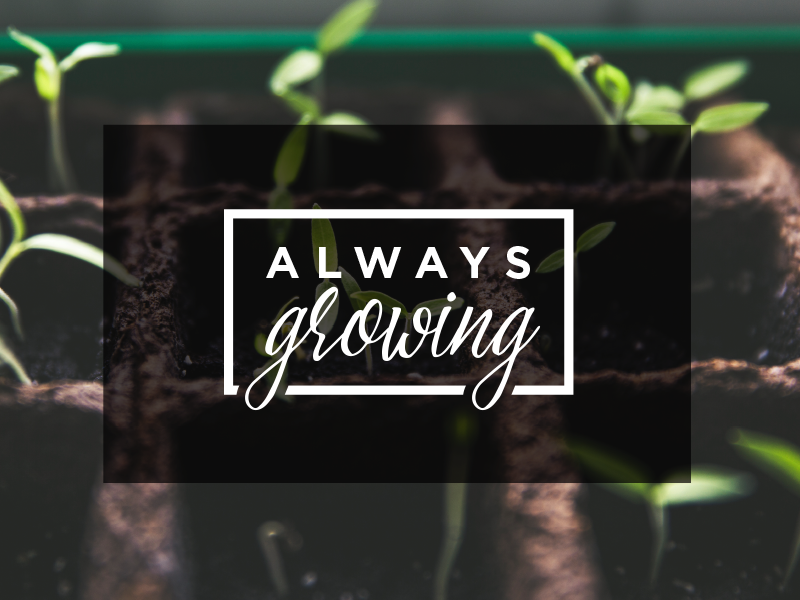 Always Growing Sermon Series by Leah Jayne Hess on Dribbble