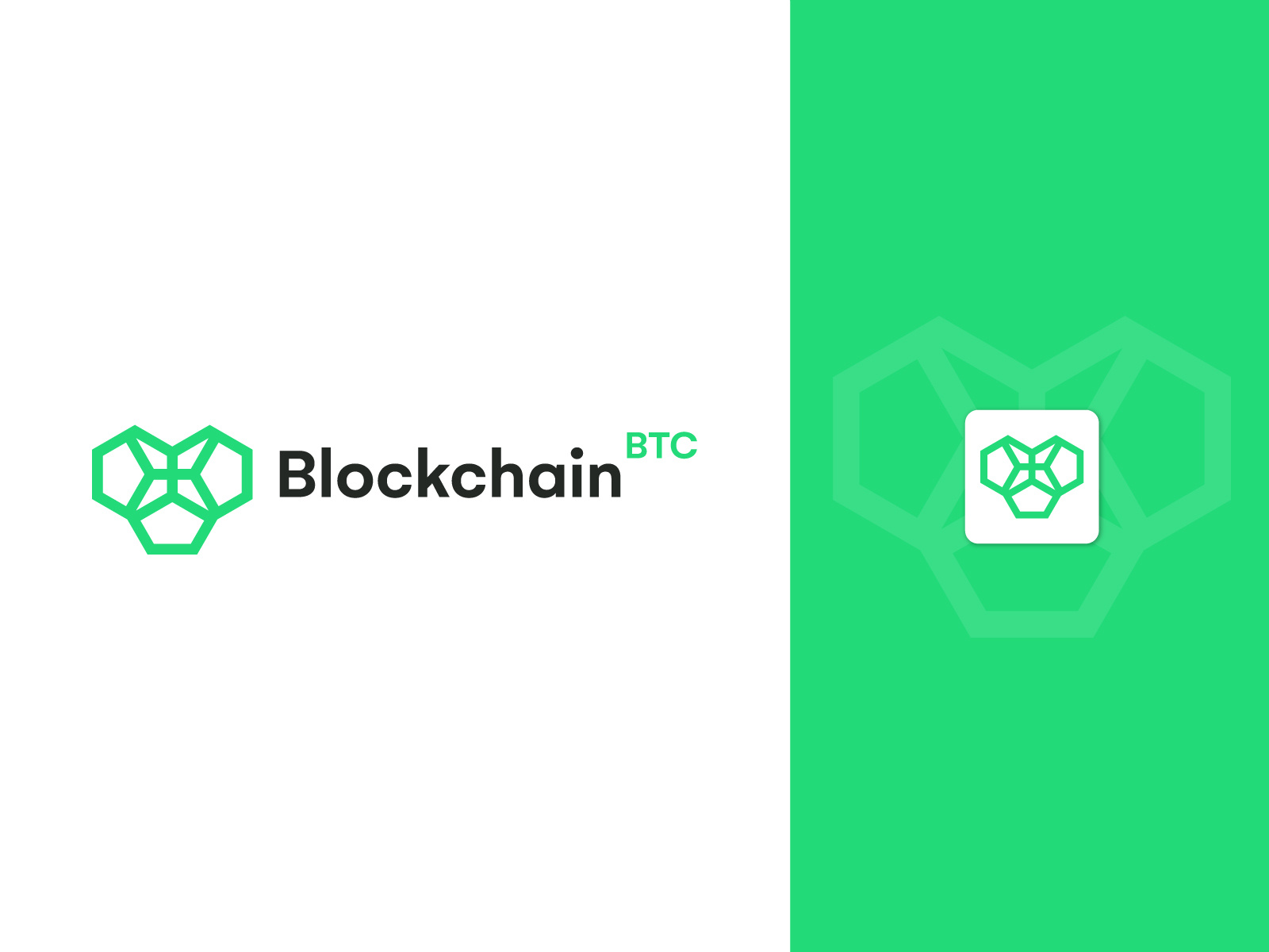 Blockchain Logo Design by Md Mehedi Hasan for Fixdpark on Dribbble