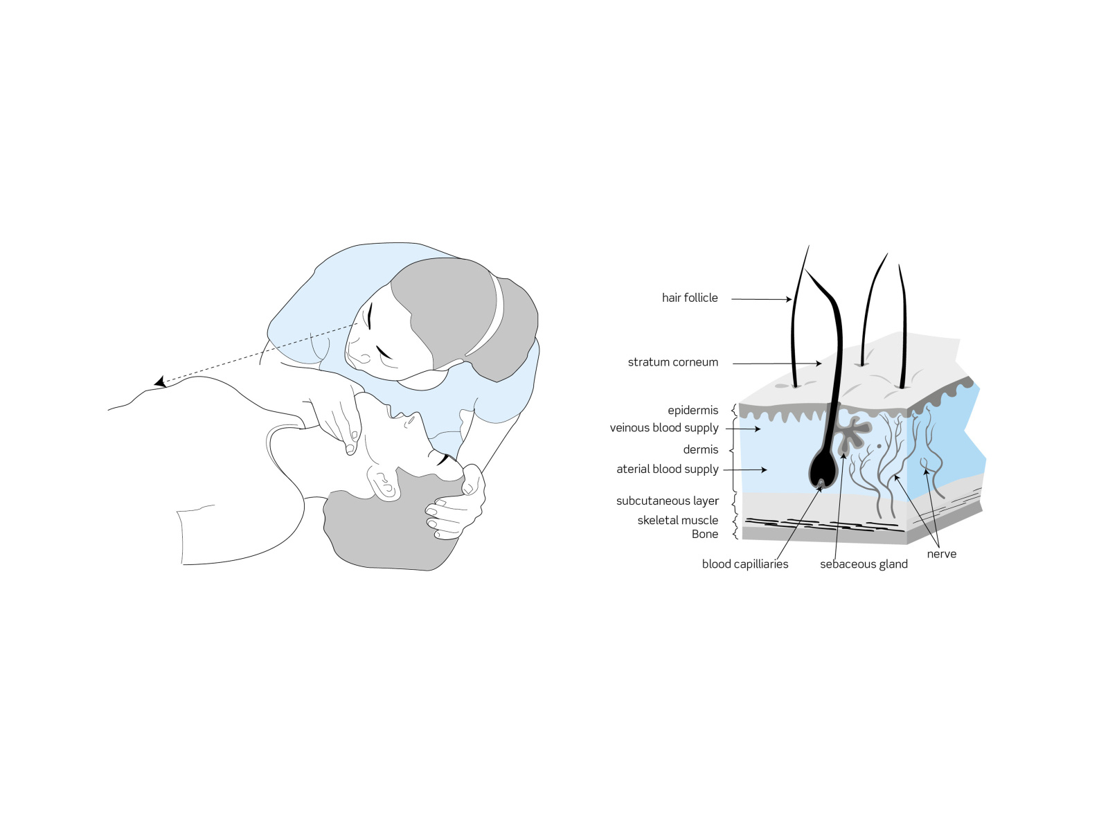 Diagrams and charts by Greg Newman on Dribbble