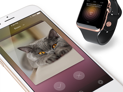 Intuition Trainer and Answers Generator - INTU App by the MakeApp on ...