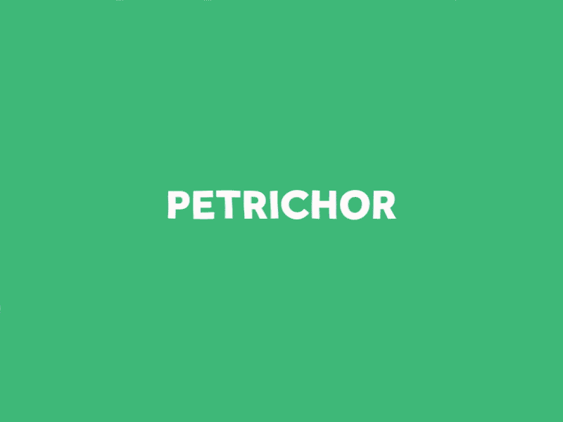 Word GIF #24 - Petrichor! by Ethan Barnowsky for LooseKeys on Dribbble