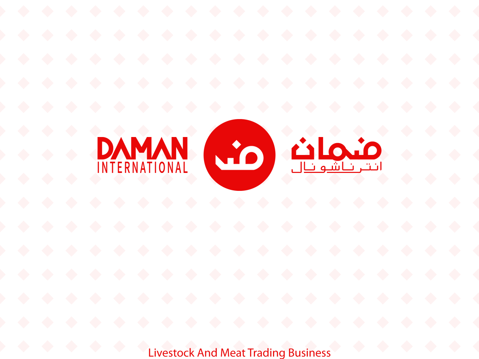 Daman Logo by Designer Riad on Dribbble