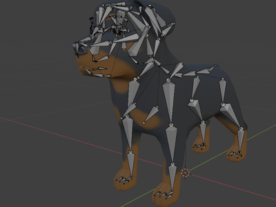 Dog Rig by SuhaibAsaad on Dribbble