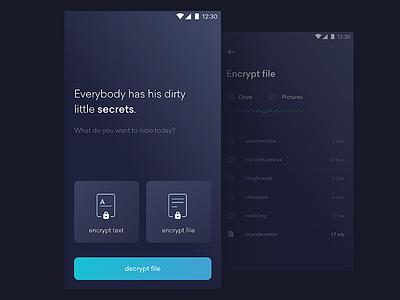 Encryption app by Vlad Paloiu on Dribbble