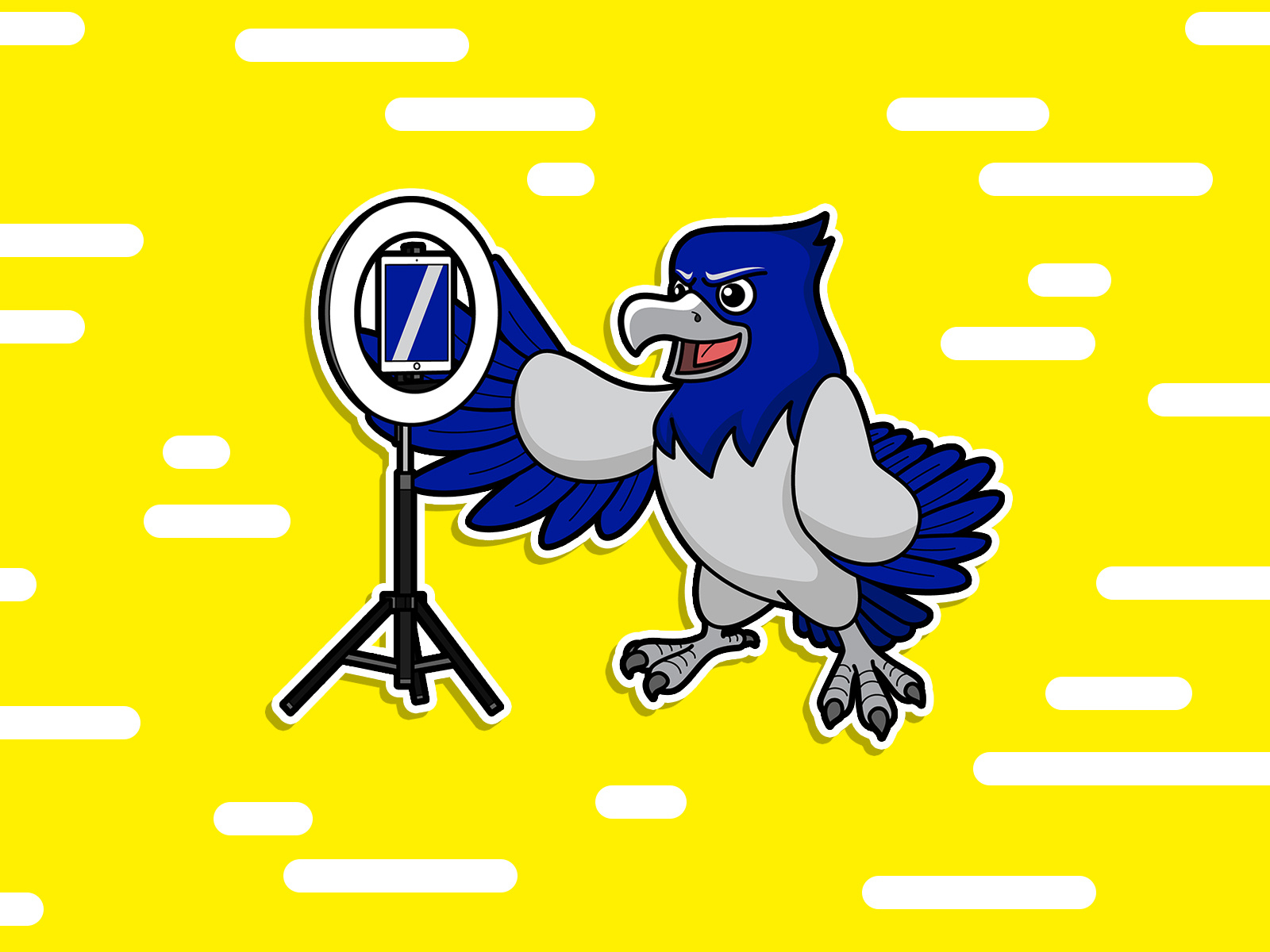 Hawk Debate by Blueasarisandi on Dribbble