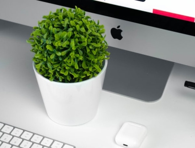 Java Low Code Platform Wavemaker By Lara Dissouza On Dribbble