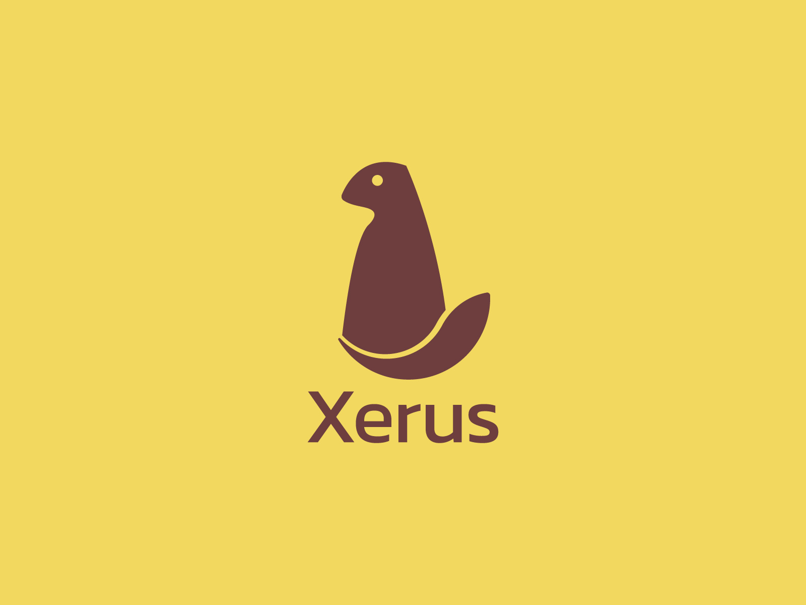 X - Xerus by Sandi Hidayat on Dribbble