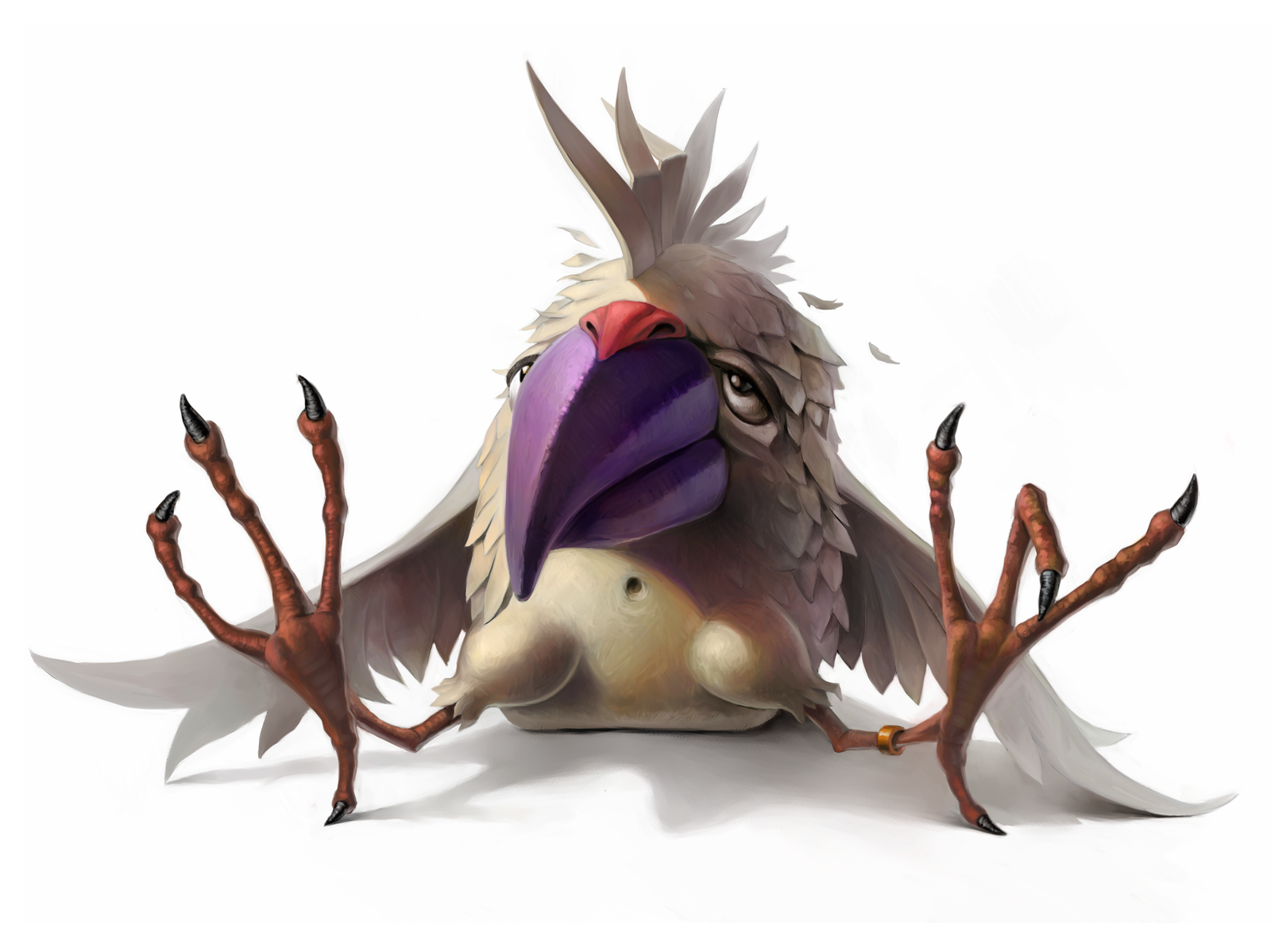 Kakadu by denfo on Dribbble