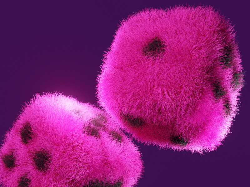 Furry Dice by Daniel Millroy on Dribbble