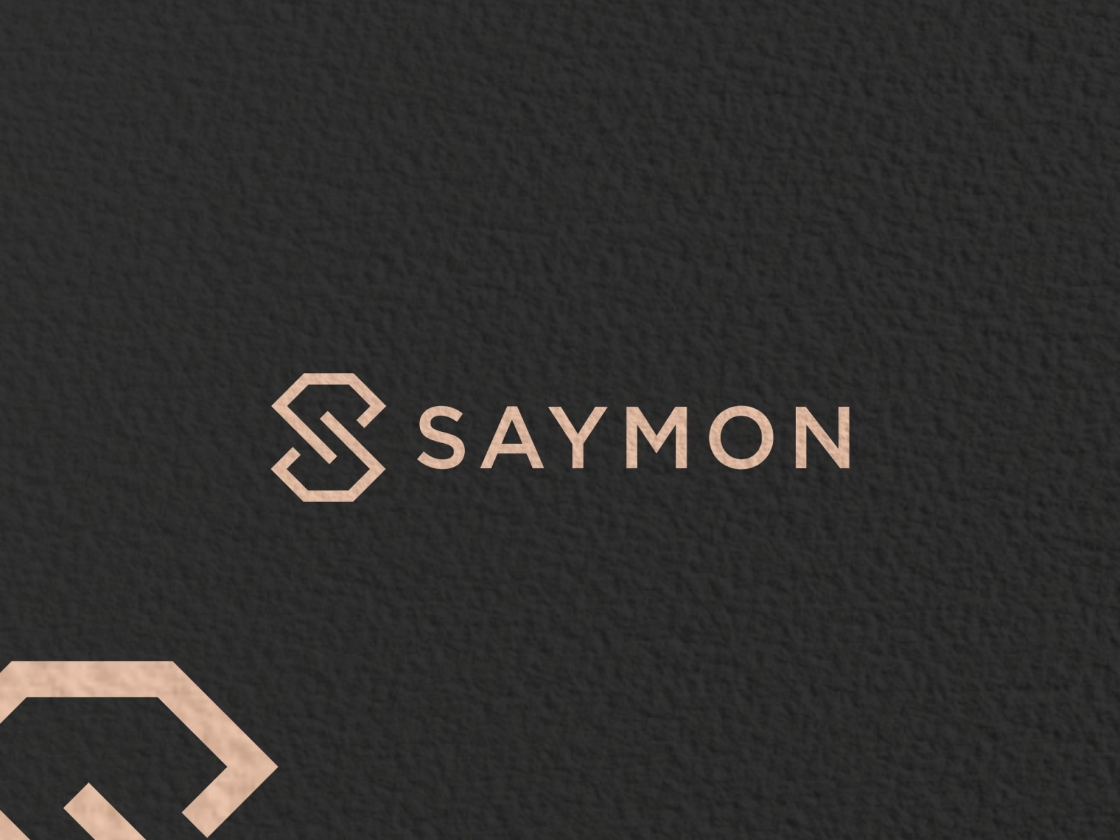 SAYMON by IpangestuArt on Dribbble