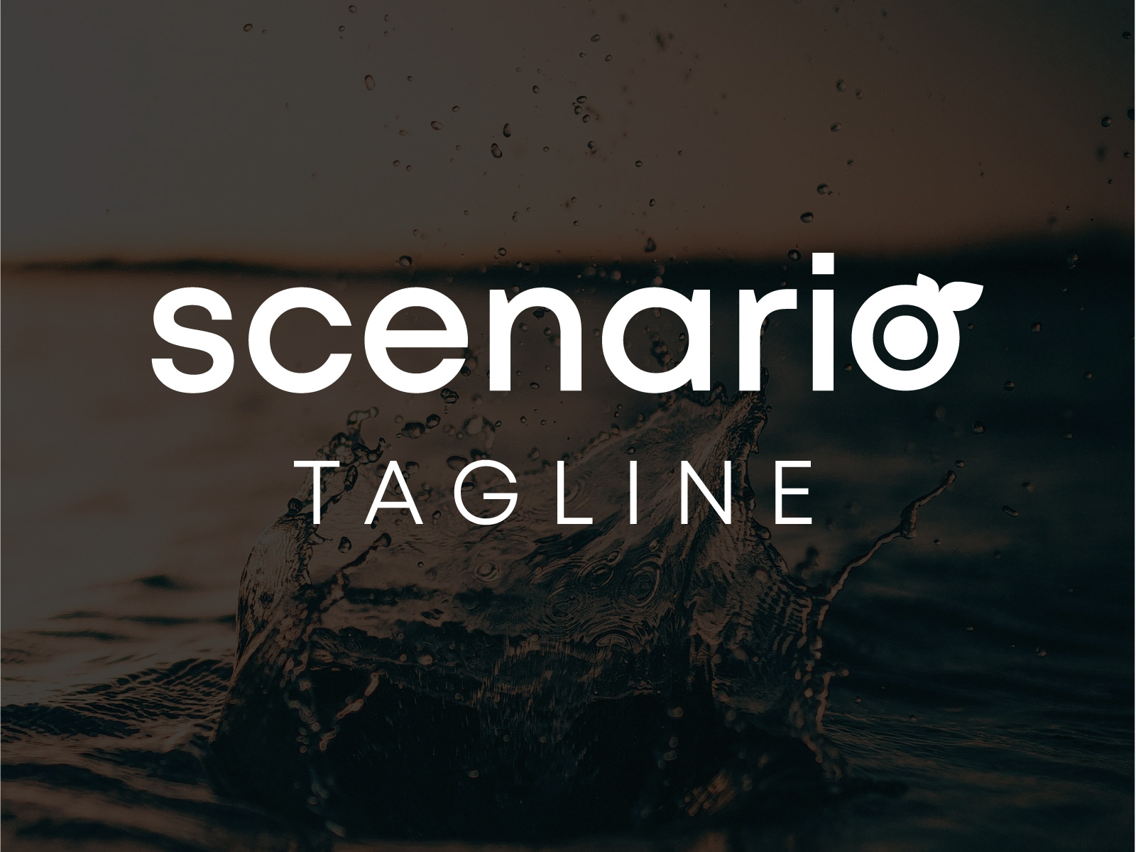 SCENARIO LOGO by Kausar A. on Dribbble