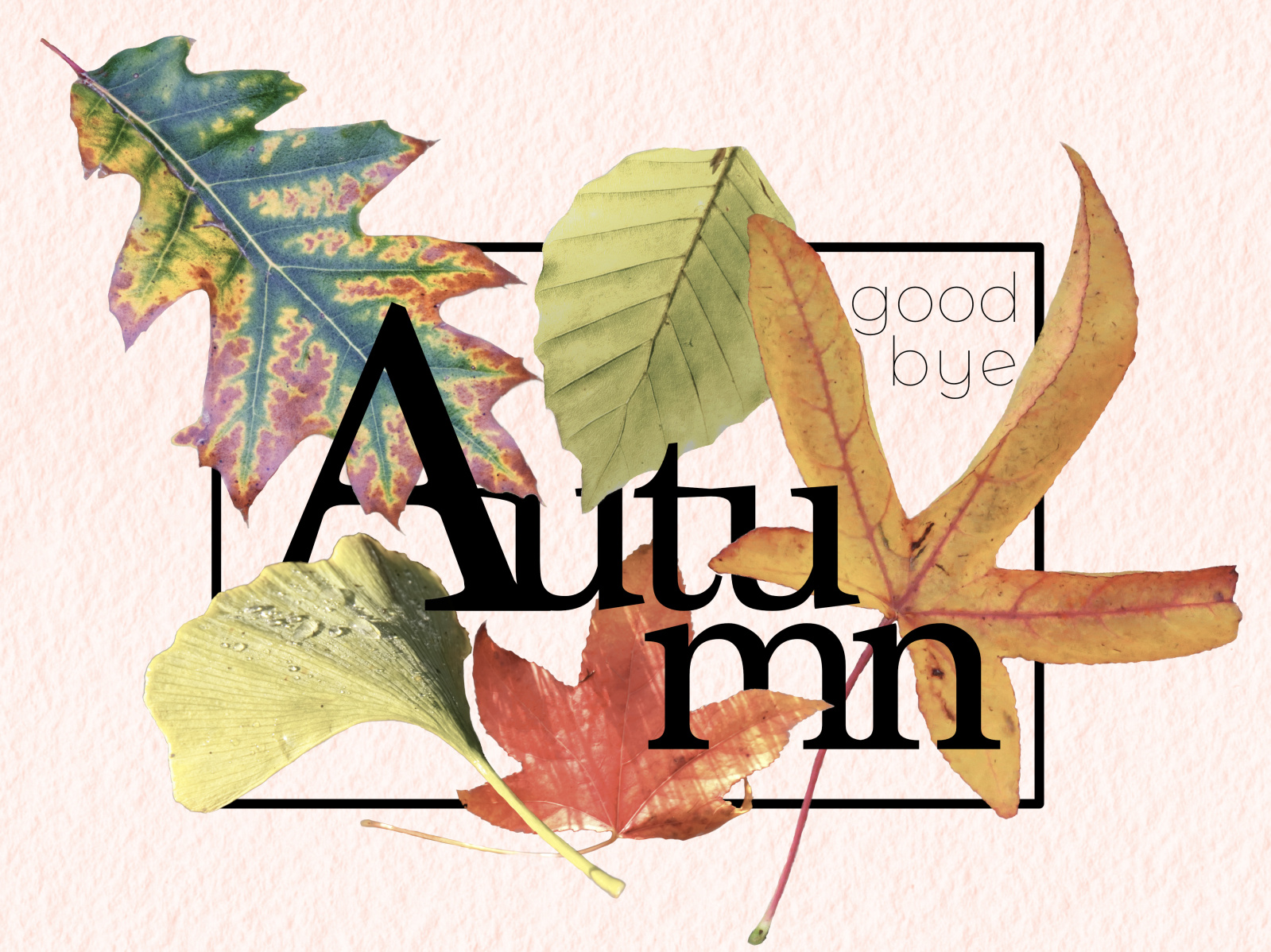 Goodbye autumn by Marine on Dribbble