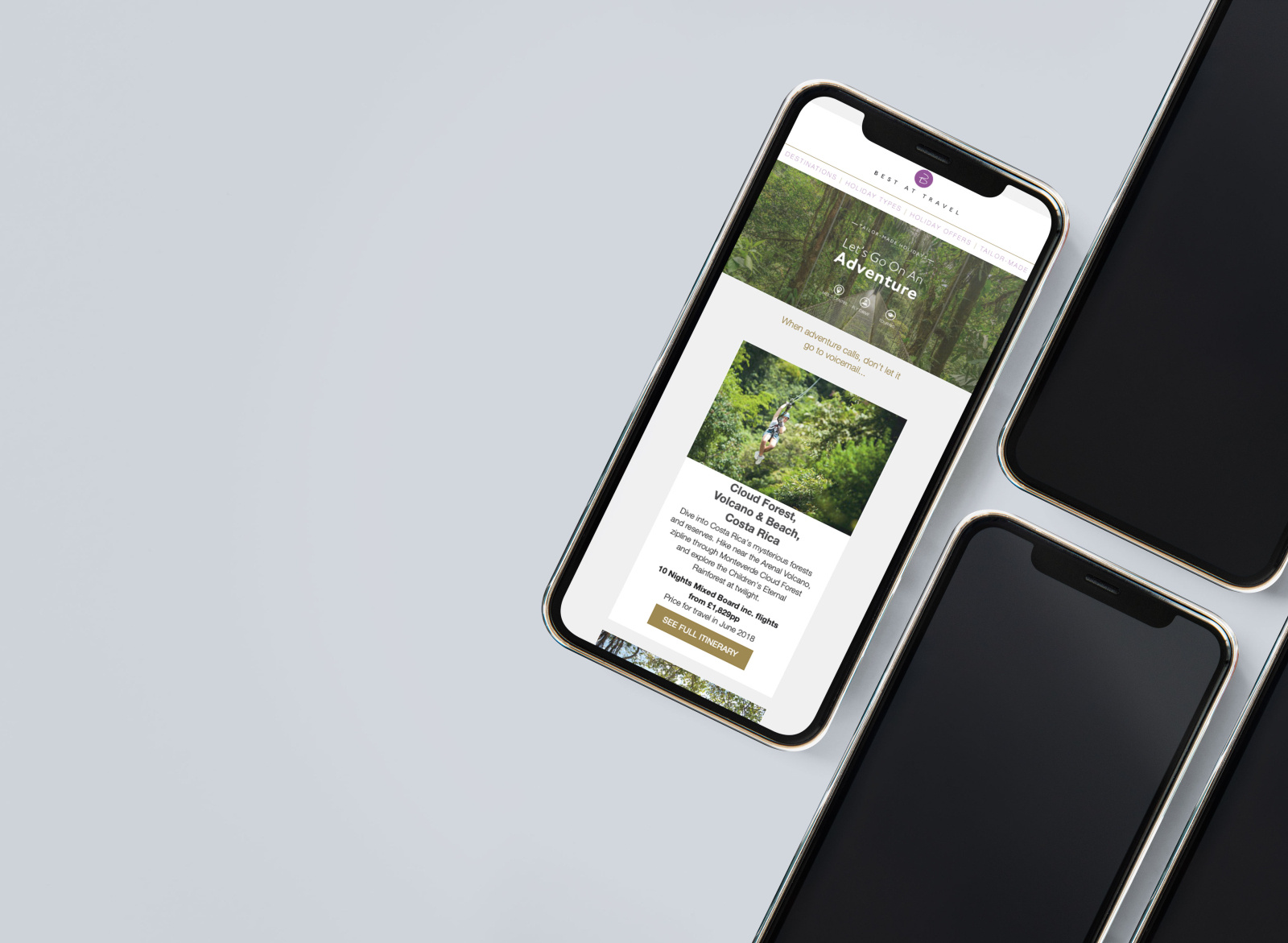 BAT Email Templates by David Daoyong Li on Dribbble