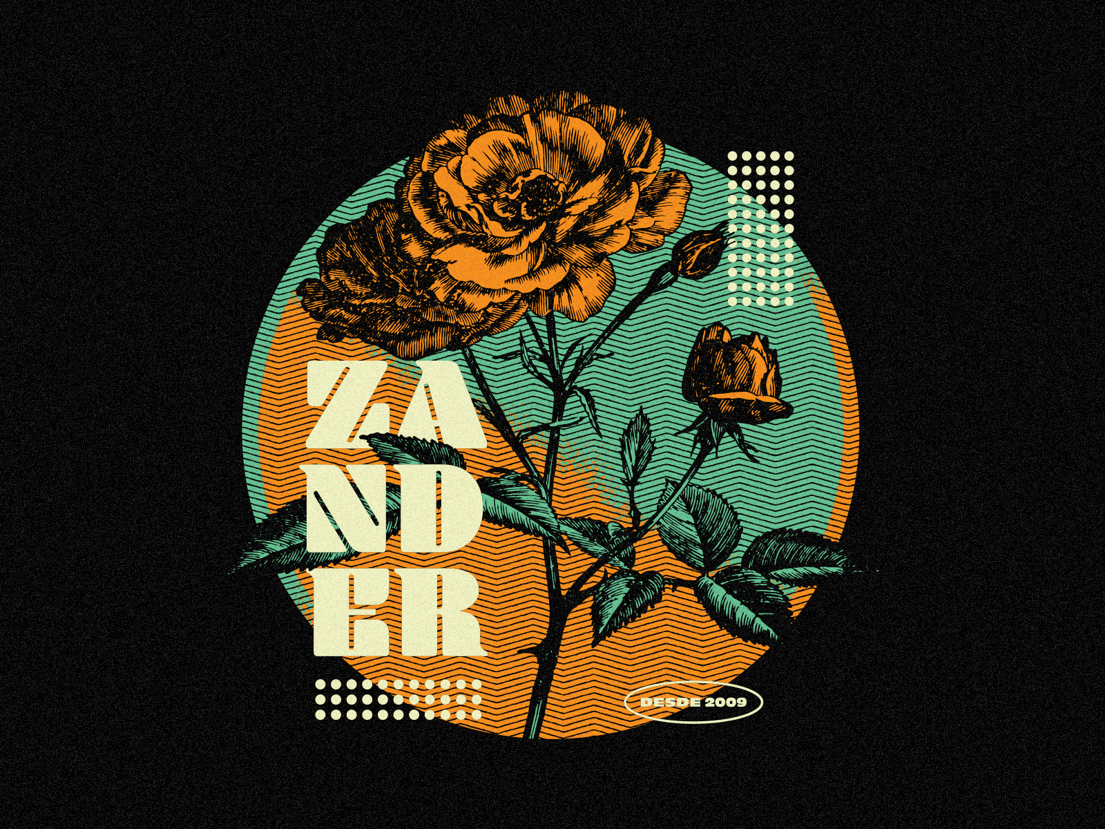 Zander by Vinicius Gut on Dribbble