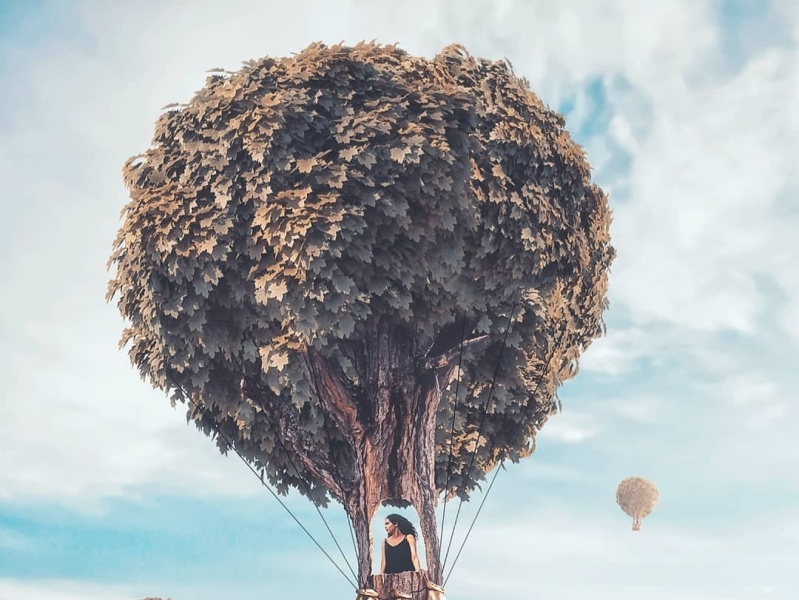 Flying tree by Usman Gilani on Dribbble